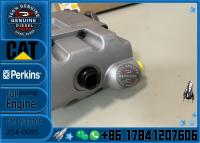 China 2540095 254-0095 319-0607 3190607 Fuel Injection Pump for for sale