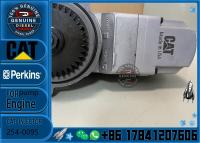 China 2540095 254-0095 319-0607 3190607 Fuel Injection Pump for for sale
