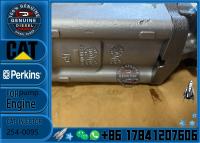 China 2540095 254-0095 319-0607 3190607 Fuel Injection Pump for for sale