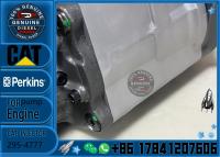 China C9 Engine Fuel Pump 319-0677 254-4357 295-4777 304-0677 312-0677 3190677 for sale