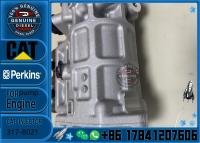 China Excavator Parts Diesel Fuel Injection Pump 276-8398 317-8021 for for sale