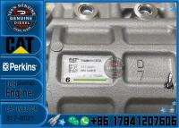 China Excavator Parts Diesel Fuel Injection Pump 276-8398 317-8021 for for sale