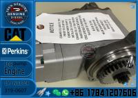 China Excavator Parts Diesel Fuel Injection Pump 276-8398 319-0607 for for sale