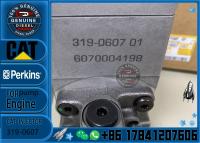 China Excavator Parts Diesel Fuel Injection Pump 276-8398 319-0607 for for sale