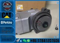 China High Quality Construction Machinery Parts Fuel Injection Pump 10R-8897 319-0675 3190675 for for sale