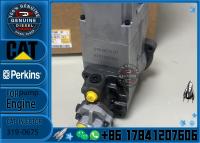 China High Quality Construction Machinery Parts Fuel Injection Pump 10R-8897 319-0675 3190675 for for sale