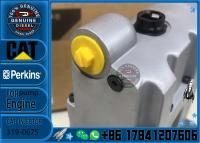 China High Quality Construction Machinery Parts Fuel Injection Pump 10R-8897 319-0675 3190675 for for sale