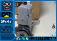 China High Quality Construction Machinery Parts Fuel Injection Pump 10R-8897 319-0675 3190675 for for sale