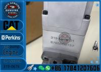 China Diesel Fuel Injection Pump 319-0676 3190676 for for sale