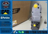 China Diesel Fuel Injection Pump 319-0676 3190676 for for sale