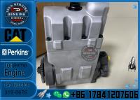 China Diesel Fuel Injection Pump 319-0676 3190676 for for sale