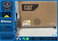 China Excavator Diesel injection pump 476-8766 4768766 for for sale