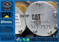 China YS Fuel Injection Pump 511-7975 5117975 379-0150 336E Excavator for sale