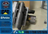 China Fuel Injection Pump 6000624 600-0624 for for sale