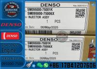China Common Rail Fuel Injector 295050-1760 295700-0130 295050-1680 095000-7500 095000-6250 095000-6632 095000-5031 Engine Injector for sale