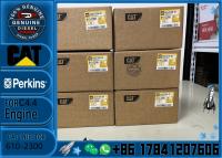 China Excavator Engine Fuel Injector 370-7282 3707282 610-2300 6102300 T409982 295050-0401 for cat C6.6 Injector for sale