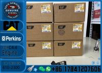 China Excavator Engine Fuel Injector 370-7282 3707282 610-2300 6102300 T409982 295050-0401 for cat C6.6 Injector for sale