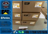 China New fuel Injector 32F61-00012 3264740-3YE 2645A753 2645A749 for Cater pillar CAT C4.2 C6.4 C6.6 Perkins 1106D - E66TA engine for sale