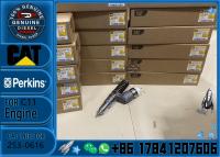 China Great Quality Diesel Engine Fuel Injector 253-0616 211-3022 211-3024 211-3025 10R-8502 294-3005 235-1402 118-9030 For CAT C15 for sale