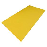 China IJF Certified Tatami Judo Mat 2x1m 4cm 5cm 6cm Thickness Non Slip Vinyl for sale