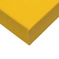 China IJF Approved Judo Tatami Mats 2m x 1m 4cm 5cm 6cm Thick Non Slip Vinyl for Judo Jujitsu Aikido MMA for sale