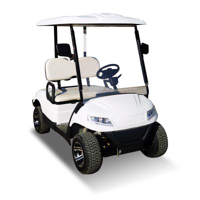 China 2 Passenger Terminator 48V Electric Golf Cart New Energy 5KW OEM for sale
