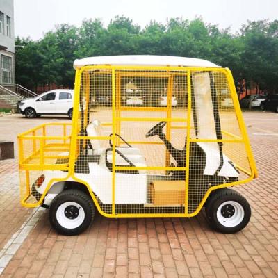 China CAll Terrain Mini 2 Seater Golf Cart 2 Seats Customized for sale