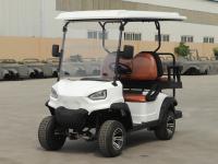 China Street Legal Electric Off-Road Utility Lead-Acid Battery 2+2 Golf Buggy Cart with CE Certificate for sale