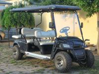 China China Factory 6 Passenger Electric Golf Caddy Cart Street Legal LSV 3.5kw for sale