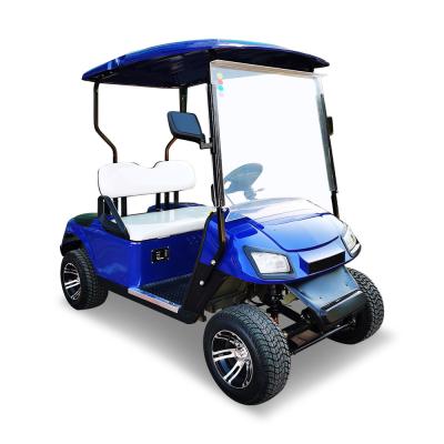 China 3KW 48V Electric 2 Seater Golf Cart Buggy Car Customizable for sale