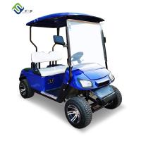 China Customized Blue Electric LSV Lithium Ion Golf Cart 2 Passenger for sale