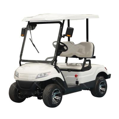 China 60V 40Mph 2 Seater Golf Cart Buggy Car Dealer For Garden Farm Club for sale