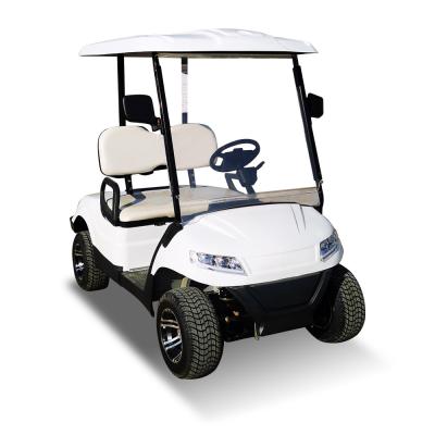 China Electric 60V 2 Seater Golf Cart Electric Buggy Car 35Mph For Club Hotel Farm Community for sale