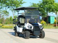China New Design 4 Seater Off Road Electric Golf Cart Lithium Battery Pu Seats Color Customized for sale