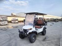China Off Road Golf Cart With LED Headlights CE Certificated 60V 100Ah Lead Acid Battery for sale