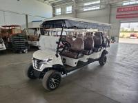 China OEM 8 Seaters Golf Cart Off Road Customized White 72V 100Ah Lead Acid Battery for sale