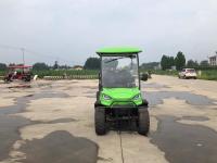 China Factory Hot Golf Cart New Design 4 Seat Massimo Electric 4 Wheel Motorised for sale