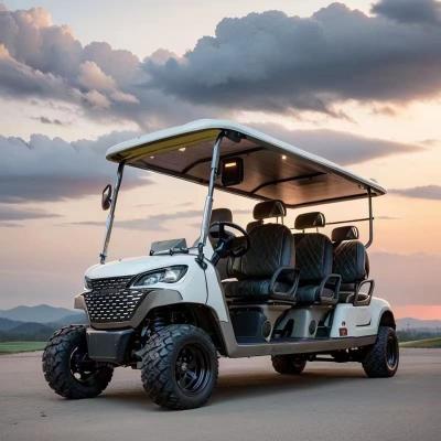 China 70-90km Long Range Golf Cart with 5KW Depot AC Motor and 220V Charging Input for sale