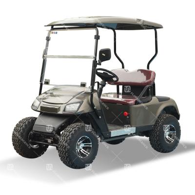China Electric Golf Cart 2-seater 3.5kw 60V Stroller Buggy Unequipped For Caddy Brake Drum for sale