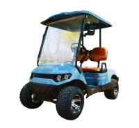 China Blue Color 2 Seater Golf Cart 4 Wheel 10 Inch Tire 70-100km With Lithium Battery for sale