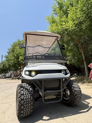 China Grey Color 2 Seater Golf Cart 4 Wheel 10 Inch Tire 70-100km With Lithium Battery for sale