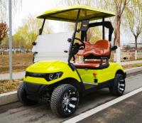 China 10 Inch Tire Optional Lithium Battery Electric Golf  Cart 4KW Motor Customized for sale