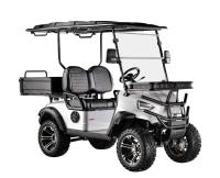 China Hunting vehicle Buggy Off Road Electric Golf Cart  4-seater 2+2 seats cargo bucket without battery 4kw for sale
