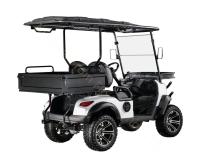 China Hunting vehicle Buggy Off Road Electric Golf Cart 4-seater 2+2 seats with cargo bucket battery 4kw 60V 100Ah for sale