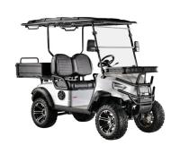 China Support Customized Two-Seater Cargo Truck 4kw Aluminum Alloy Carbon Steel Plastic Rear Bucket for sale