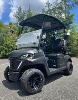 China 2 Passenger Golf Cart Electric 4kw Power Small Off Road Premium Quality 60V 100AH for sale