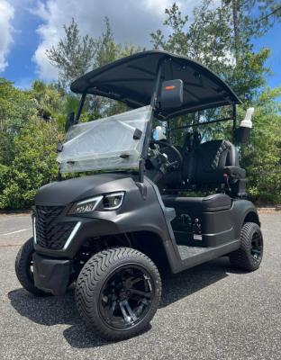 China 2 Passenger Golf Cart Electric 4kw Power Small Off Road Premium Quality 60V 100AH for sale