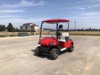 China New Designed 2 Seater Golf Cart On Board Charging Origin Type CE Approved for sale