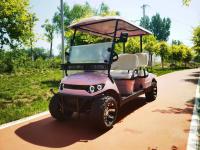 China Pink 4kw High Power Electric Golf Cart Off-Road Tire McPherson Independent Suspension for sale