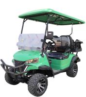 China Environmentally Electric Golf Cart With Efficient AC Motor Ideal For Golf Courses for sale